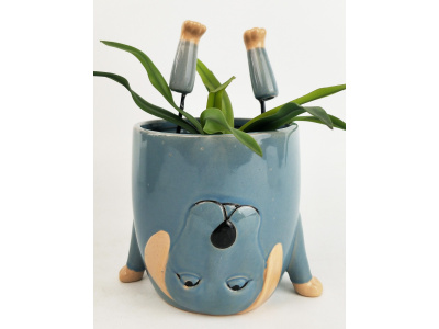 Welcome [ccpharmacy.com.au]